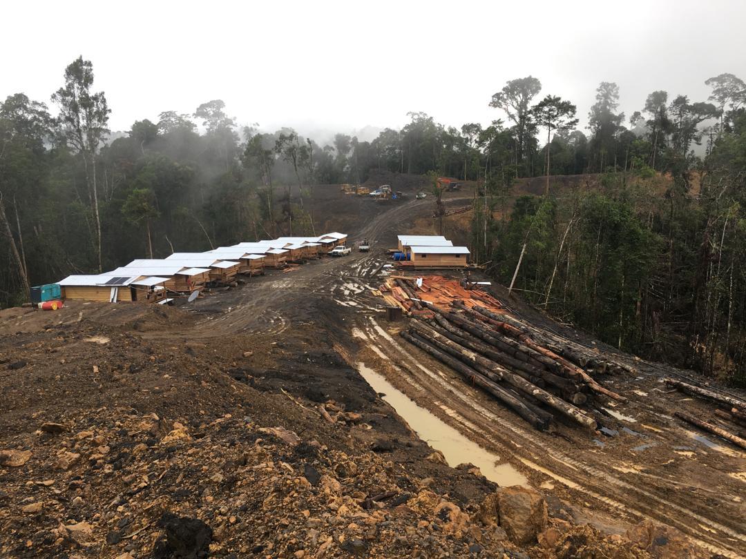 Alarming new logging project exposed in Indigenous conservation zone