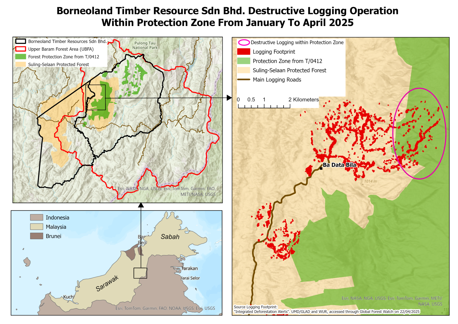 Logging Conflict Escalates in Sarawak as Penan Take a Stand - The ...