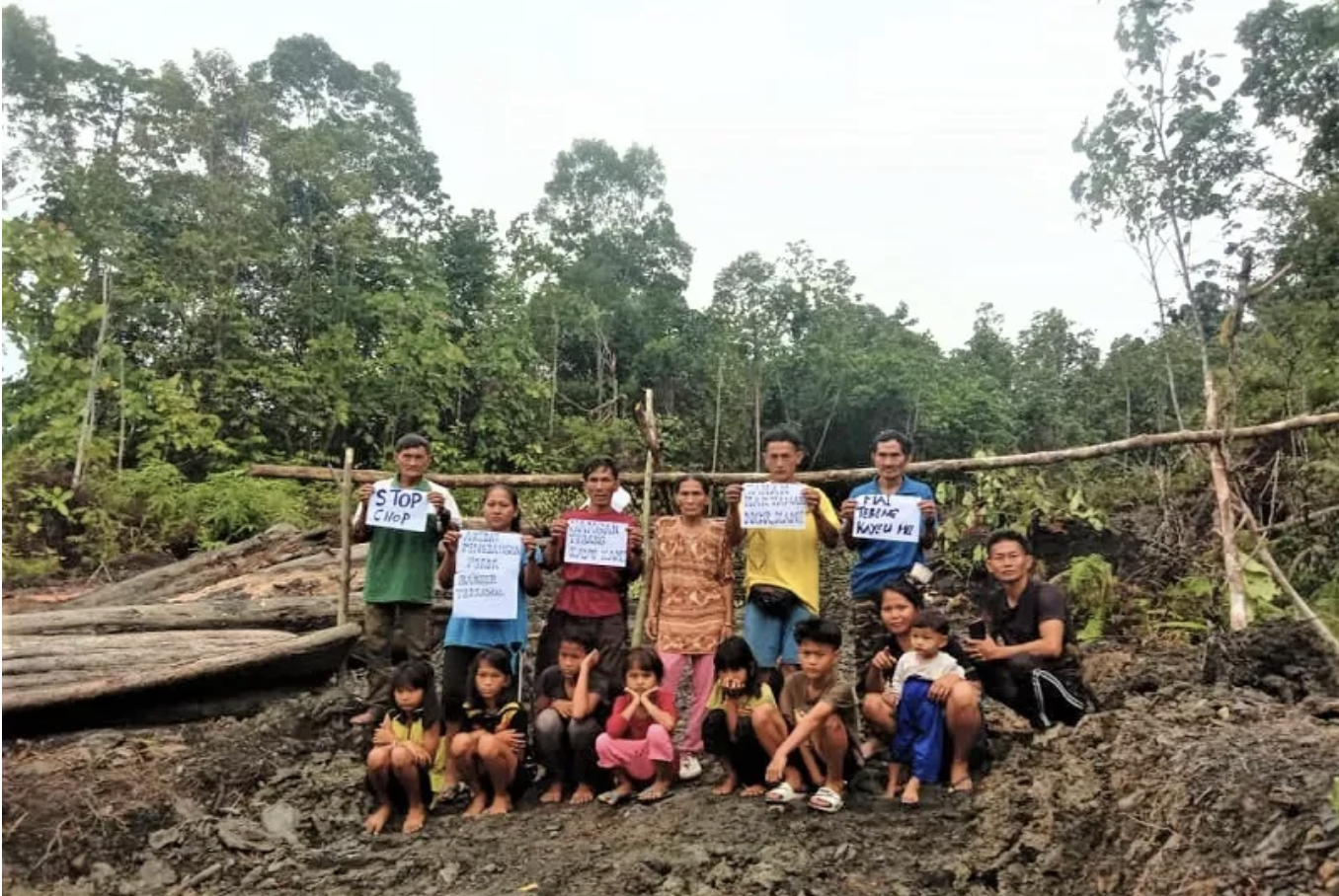 Timber firm keeps millions offshore, as Penan mount blockades to save ...