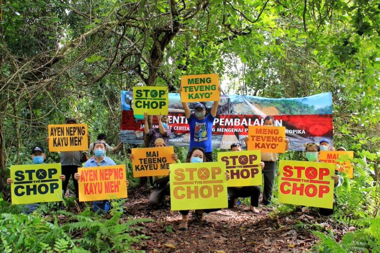 Sign-on letter to Samling: #StopTheSlapp - The Borneo Project